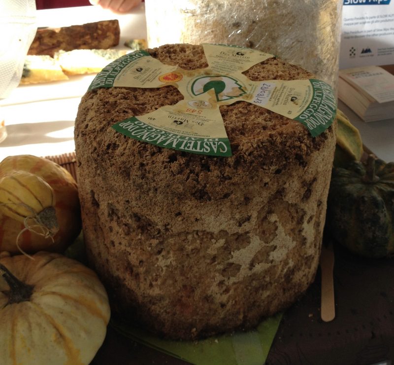 Cheese of the month September 2016: Castelmagno from Piemont ...