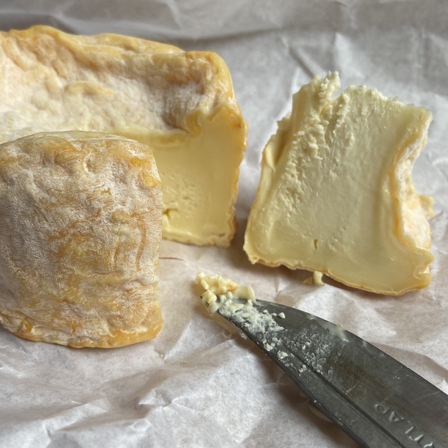 For August 2021: Langres, a cheese to go with Ahr wine – heinzelcheese